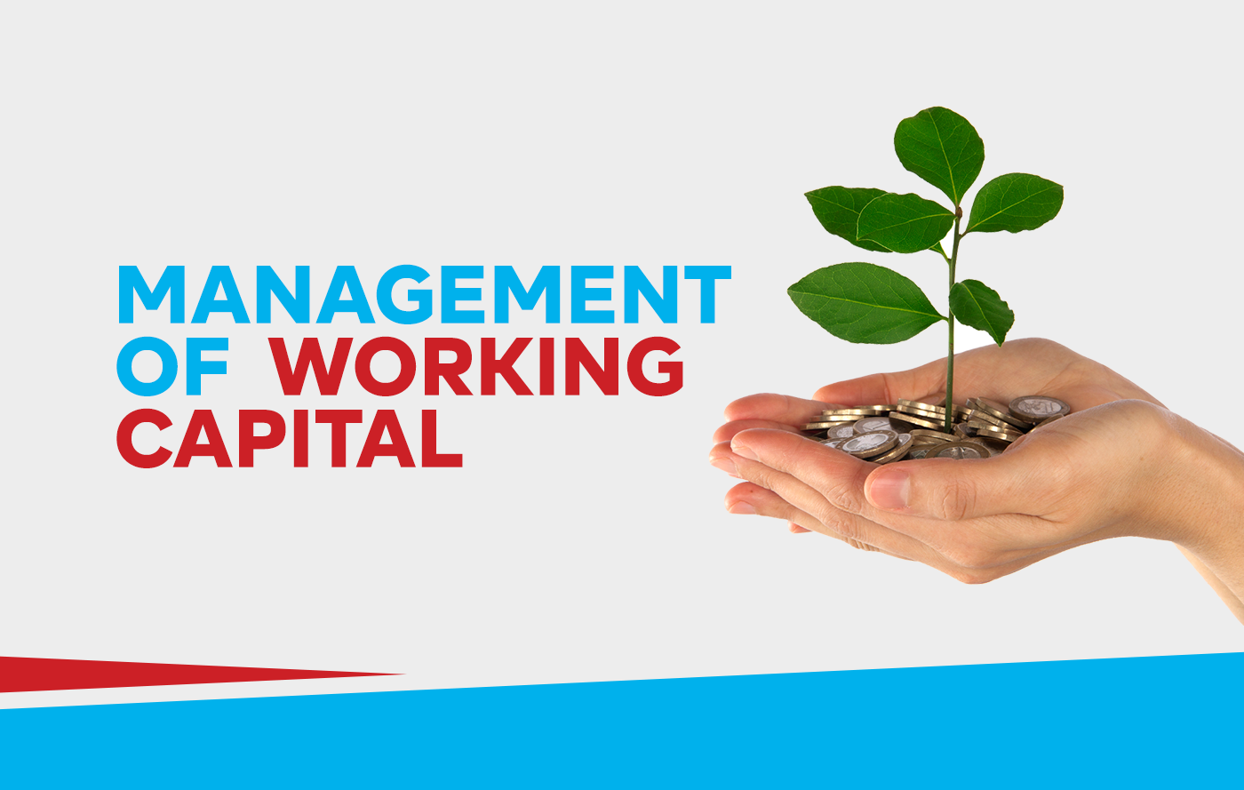 What is working capital management